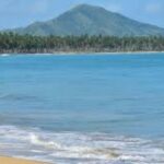 Punta Cana: El Limón Horseback Ride, ATV, and Beach Tour - Authenticity and Traveler Feedback