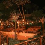 Punta Cana: Evening Buggy Ride, Cenote Swim, Dinner, & Show - Who Will Love This Tour?