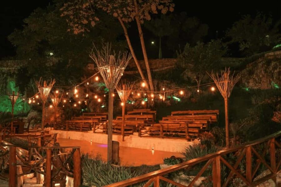 Punta Cana: Evening Buggy Ride, Cenote Swim, Dinner, & Show - Who Will Love This Tour?