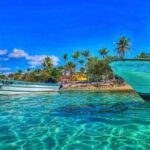 Punta Cana: Full-day Snorkelling Tour in Catalina Island - Authentic Perspectives from Travelers