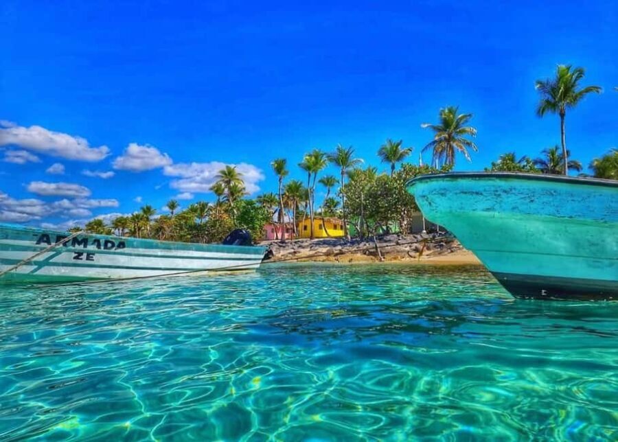 Punta Cana: Full-day Snorkelling Tour in Catalina Island - Authentic Perspectives from Travelers
