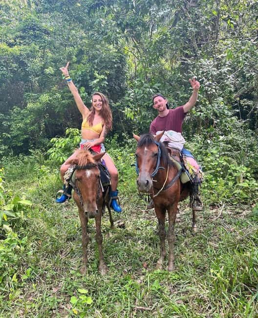 Punta Cana: Guided Horseback Tour of Beaches and Fields - The Journey: From Fields to Beaches