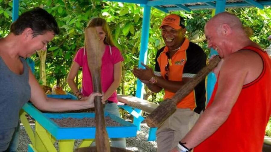 Punta Cana: Hacienda Tuko Buggy, Zipline, & Horseback Tour - What to Expect During the Tour