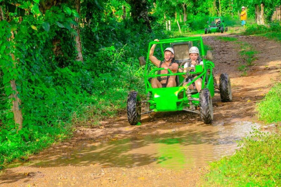 Punta Cana: Hacienda Tuko Zipline, Buggy, & Horseback Tour - Who Will Love This Tour?