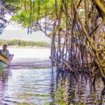 Punta Cana: Haitises, Montaña R. & Horse Ride Limón Beach - Transportation and Group Dynamics