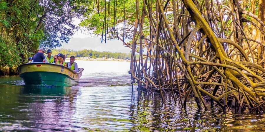Punta Cana: Haitises, Montaña R. & Horse Ride Limón Beach - Transportation and Group Dynamics