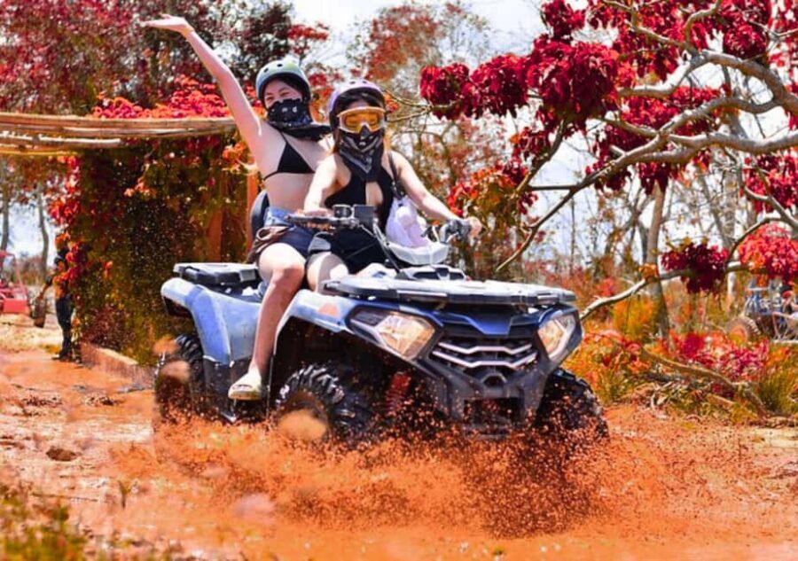 Punta Cana: Half Day Tour Buggy Tour And Horseback Riding - What the Tour’s Like in Practice