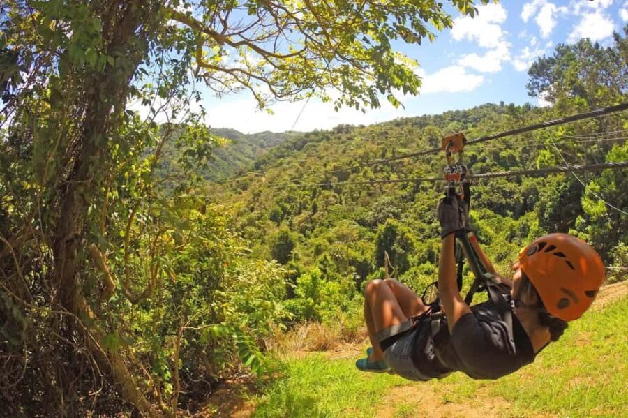 Punta Cana Half Day Tour Zip Line - A Closer Look at the Tour Experience
