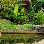 Punta Cana: Higüey Basilica & City Tour w/Local House Visit - What’s the Value?