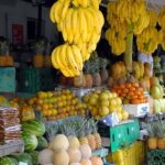 Punta Cana: Higuey City Tour - Visit the Basilica Cathedral - Why This Tour Offers Good Value