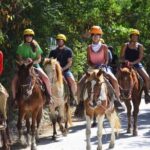 Punta Cana Horse Riding for Beaches in Field - Final Thoughts: Is It Worth It?