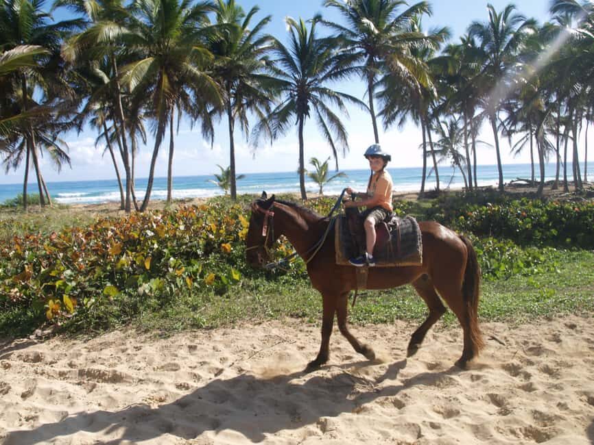 Punta Cana: Horseback Ride to Macao Beach - What the Tour Includes and Practical Details