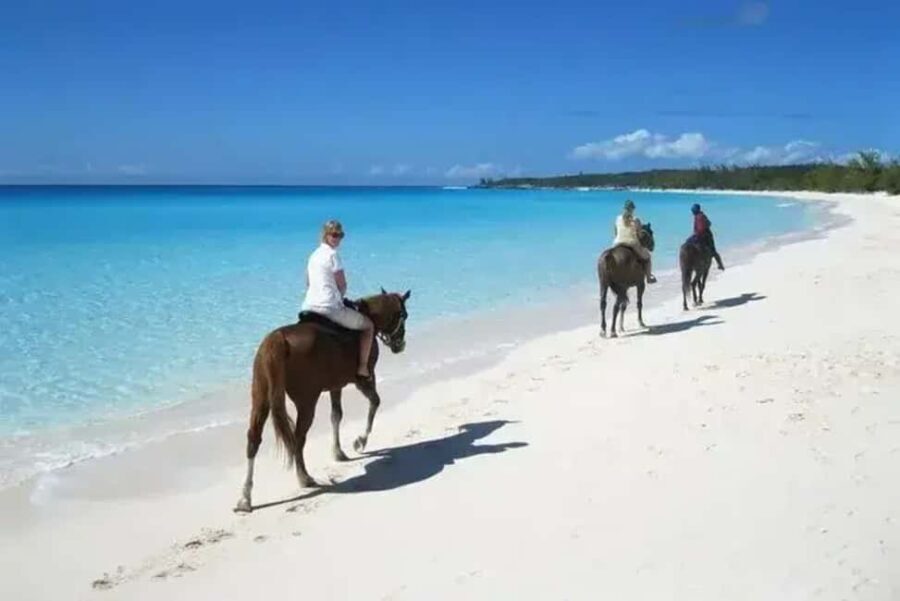 Punta Cana: Horseback Riding Adventure with Transfers - Who Will Love This Tour?