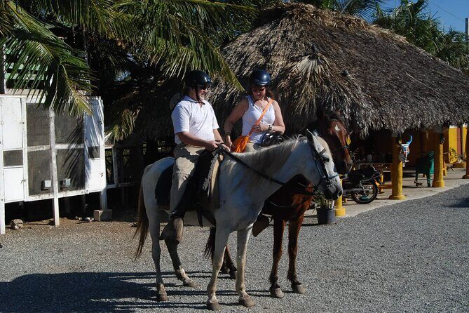 Punta Cana Horseback Riding on the Beach - The Sum Up