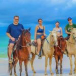 Punta Cana Horseback riding & Sunset + beach + free pick-up - A Deep Dive into the Experience