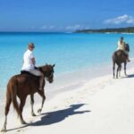 Punta Cana: Horseback Riding through Stunning Beaches - Detailed Breakdown of the Experience