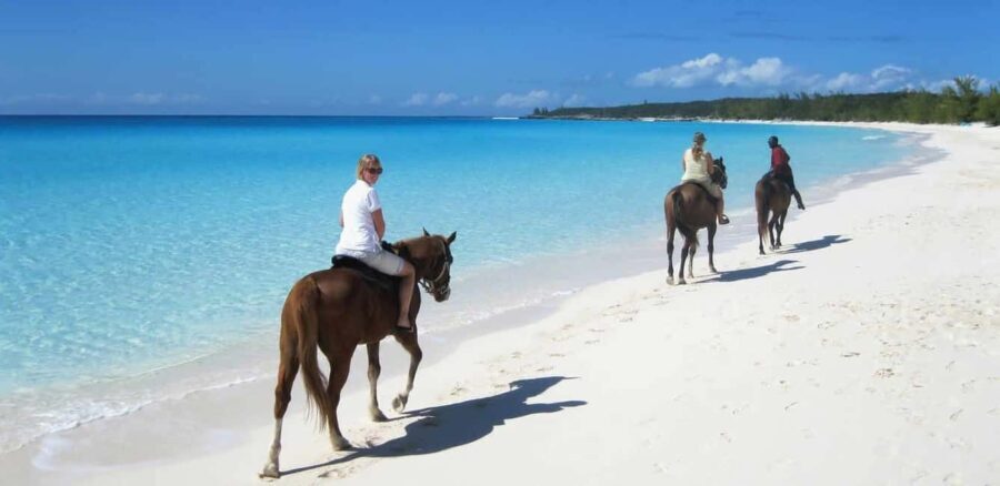 Punta Cana: Horseback Riding through Stunning Beaches - Detailed Breakdown of the Experience