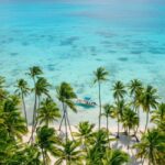 Punta Cana: Isla Saona Premium Mano Juan and exclusive beach - What Makes This Tour Stand Out