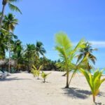 Punta cana: Island Escape to Saona  catamaran & Beach lunch - What Travelers Say: Authentic Perspectives
