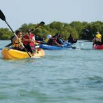 Punta Cana: Los Haitises Hike & Kayaking Mangroves - What Sets This Tour Apart