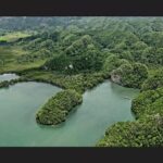 Punta Cana: Los Haitises Hike & Kayaking Mangroves - Final Thoughts