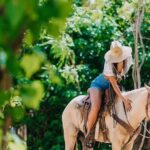 Punta Cana: Los Haitises Horses riding + Montana redonda - The Thrill of Horseback Riding