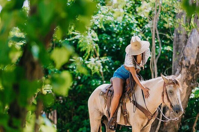 Punta Cana: Los Haitises Horses riding + Montana redonda - The Thrill of Horseback Riding