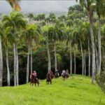 Punta Cana: Los Haitises National Park Horseback & Boat Tour - The Horseback Ride: A Serene Stroll Through Tropical Rainforest