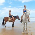 Punta Cana: Macao Beach & Forest Horseback Riding Tour - The Horseback Riding Itself: Views and Versatility