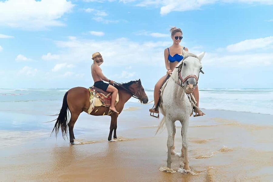 Punta Cana: Macao Beach & Forest Horseback Riding Tour - The Horseback Riding Itself: Views and Versatility