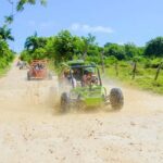 Punta Cana: Macao Buggy Tour - Who Should Consider This Tour?