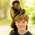 Punta Cana: Monkey Adventure by Jhoraji With Hotel Pick-Up - What Makes This Tour Stand Out?