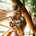 Punta Cana: Monkey Land Tour with Hotel Pickup - Detailed Breakdown of the Itinerary