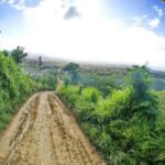 Punta Cana: Montaña Redonda Tour with Lunch & 4x4 Ride - Practical Details and Tips