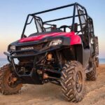 Punta Cana: Nighttime Buggy Ride, Cenote Swim and dinner - Who This Tour is Best For