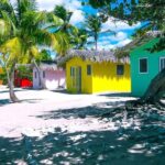 Punta Cana or La Romana: Catalina Island Tour and Snorkeling - Transportation, Timing, and Group Dynamics