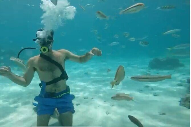 Punta Cana Party Cruise with Snorkeling, Hooka Diving and Parasailing - Considering the Cost