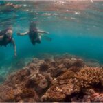 Punta Cana Private Catamaran Cruise: Snorkeling, Beach & BBQ - The Itinerary Breakdown