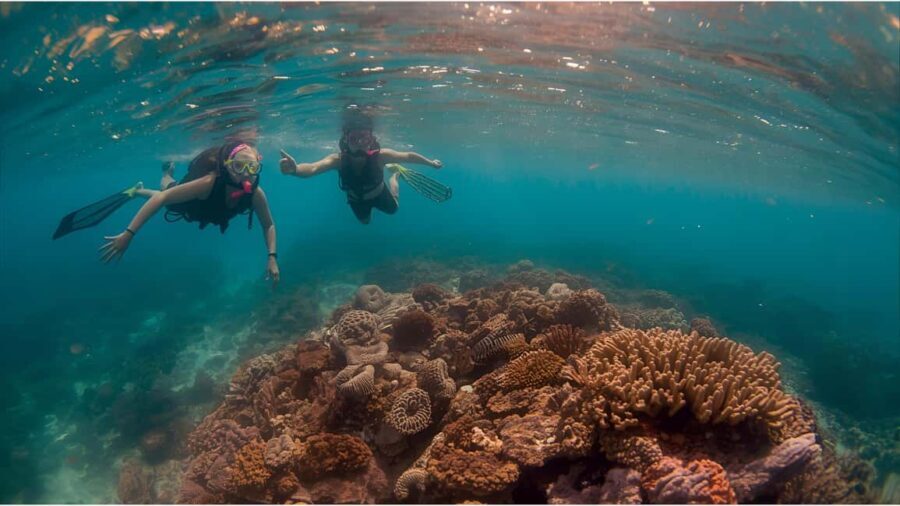 Punta Cana Private Catamaran Cruise: Snorkeling, Beach & BBQ - The Itinerary Breakdown