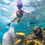 Punta Cana Private Cruise Up To 10 Snorkeling & Seafood lunch - What Makes This Tour Stand Out