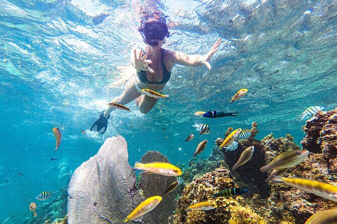 Punta Cana Private Cruise Up To 10 Snorkeling & Seafood lunch - What Makes This Tour Stand Out