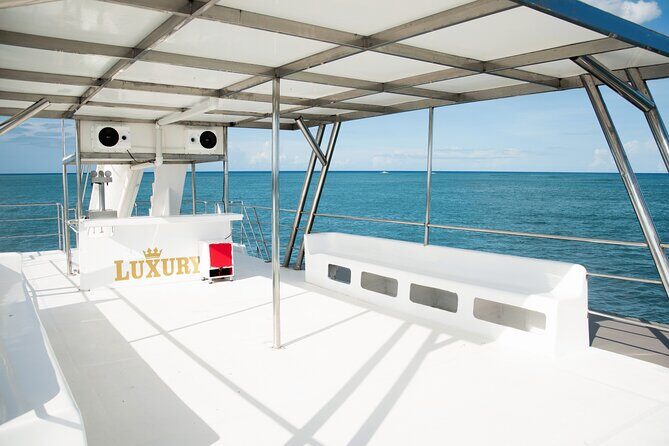 Punta Cana Private Mega Catamaran Tour with Snorkeling and Bar - What’s Included and What’s Not