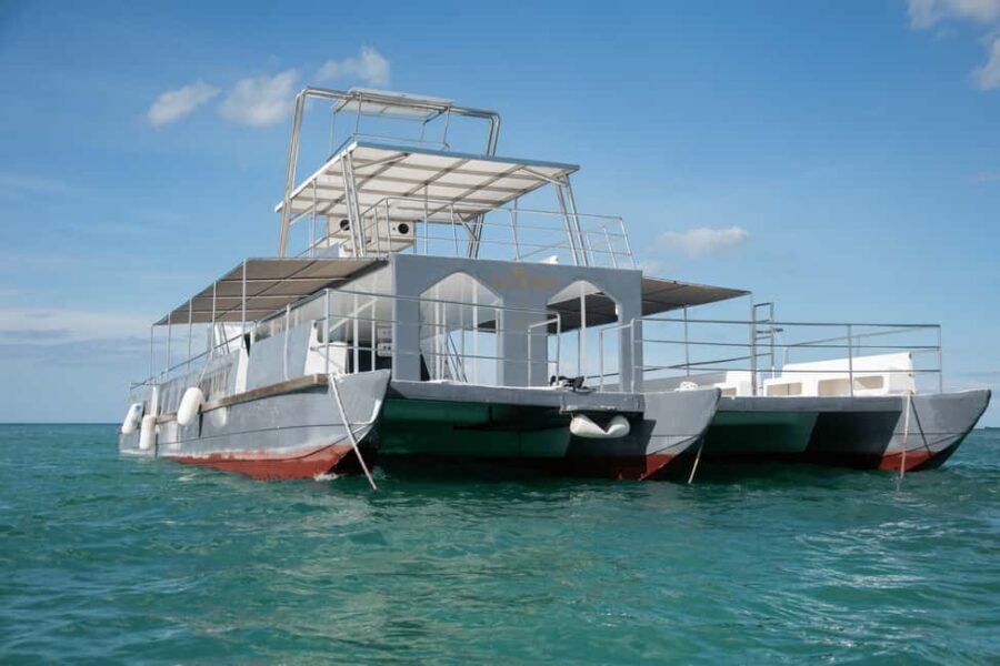 Punta Cana Private Mega Catamaran Tour with Snorkeling & Bar - The Itinerary and Experience Breakdown