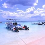 Punta Cana: Private Saona Island Full-Day Tour, Natural Pool - What Makes This Tour Stand Out