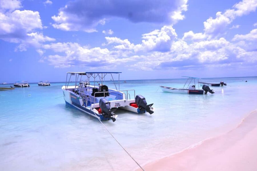 Punta Cana: Private Saona Island Full-Day Tour, Natural Pool - What Makes This Tour Stand Out
