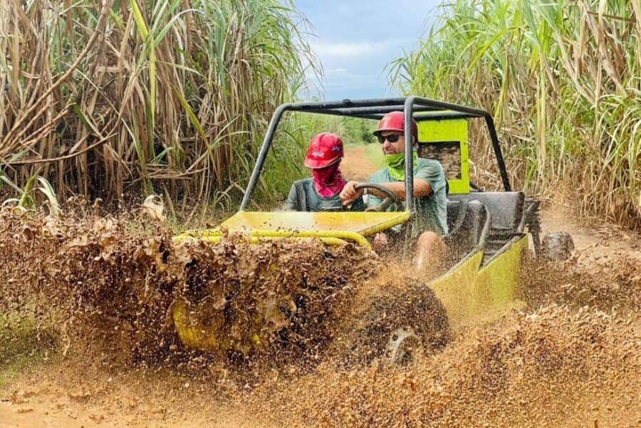 Punta Cana: Private SugarCane Fields Buggy or Quad Adventure - Who Will Love This Tour?