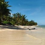 Punta Cana : Private yacht Snorkeling, Lagoon and Wild Beach - The Itinerary Breakdown