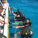 Punta Cana Reef Diving Adventure Explore Underwater Wonders - Why This Tour Represents Good Value