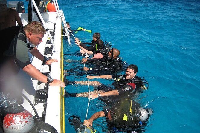 Punta Cana Reef Diving Adventure Explore Underwater Wonders - Why This Tour Represents Good Value