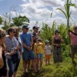 Punta Cana: Safari and City Tour with Horseback Riding - Transportation, Timing, and Group Size